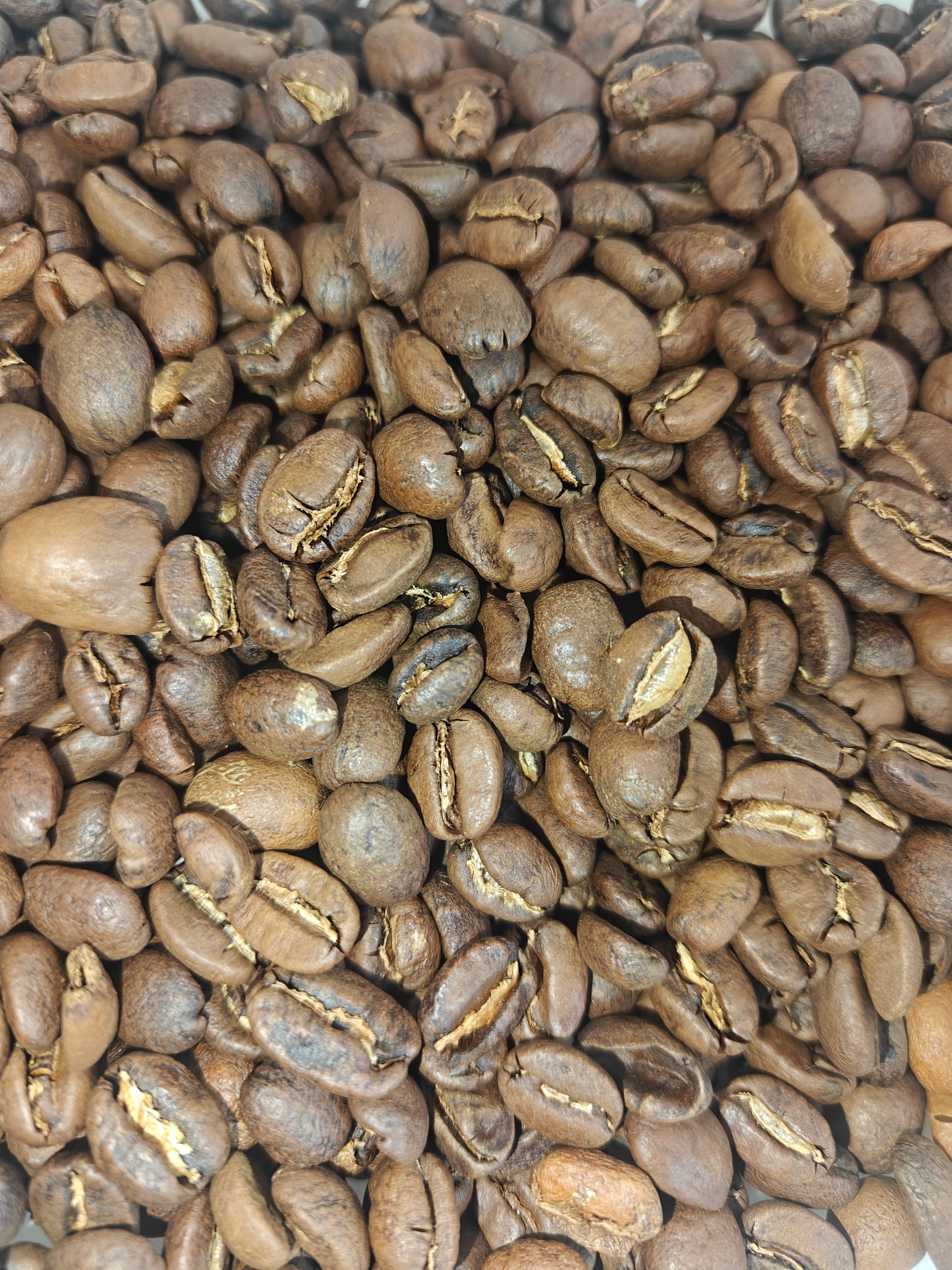 Chocolon – Jack Mormon Coffee Co.